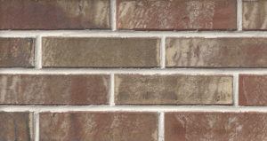 SHADOW FALLS - Red River Brick