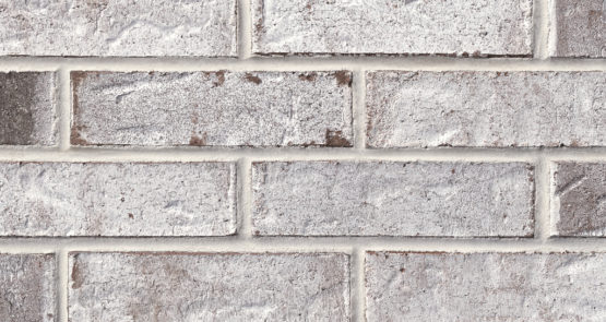 SHADOW FALLS - Red River Brick